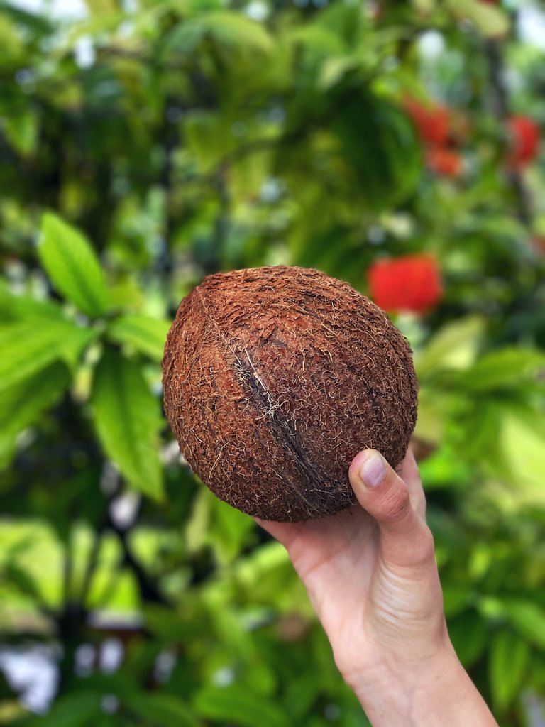 Food in Maldives - hayateria