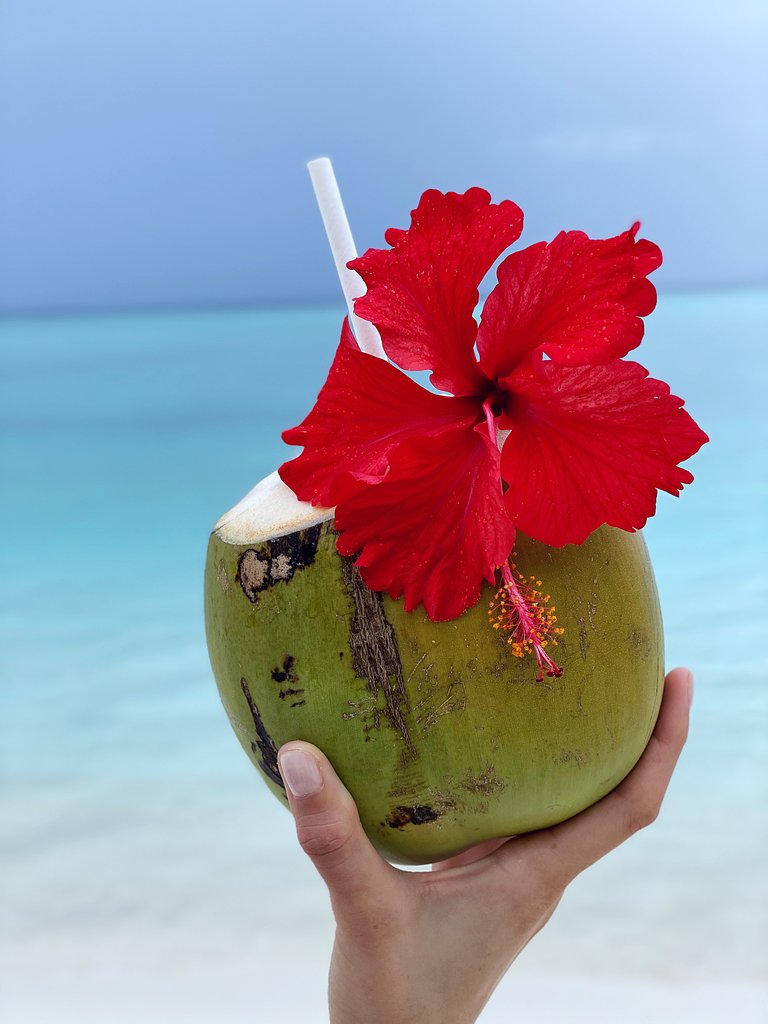 Food in Maldives - hayateria