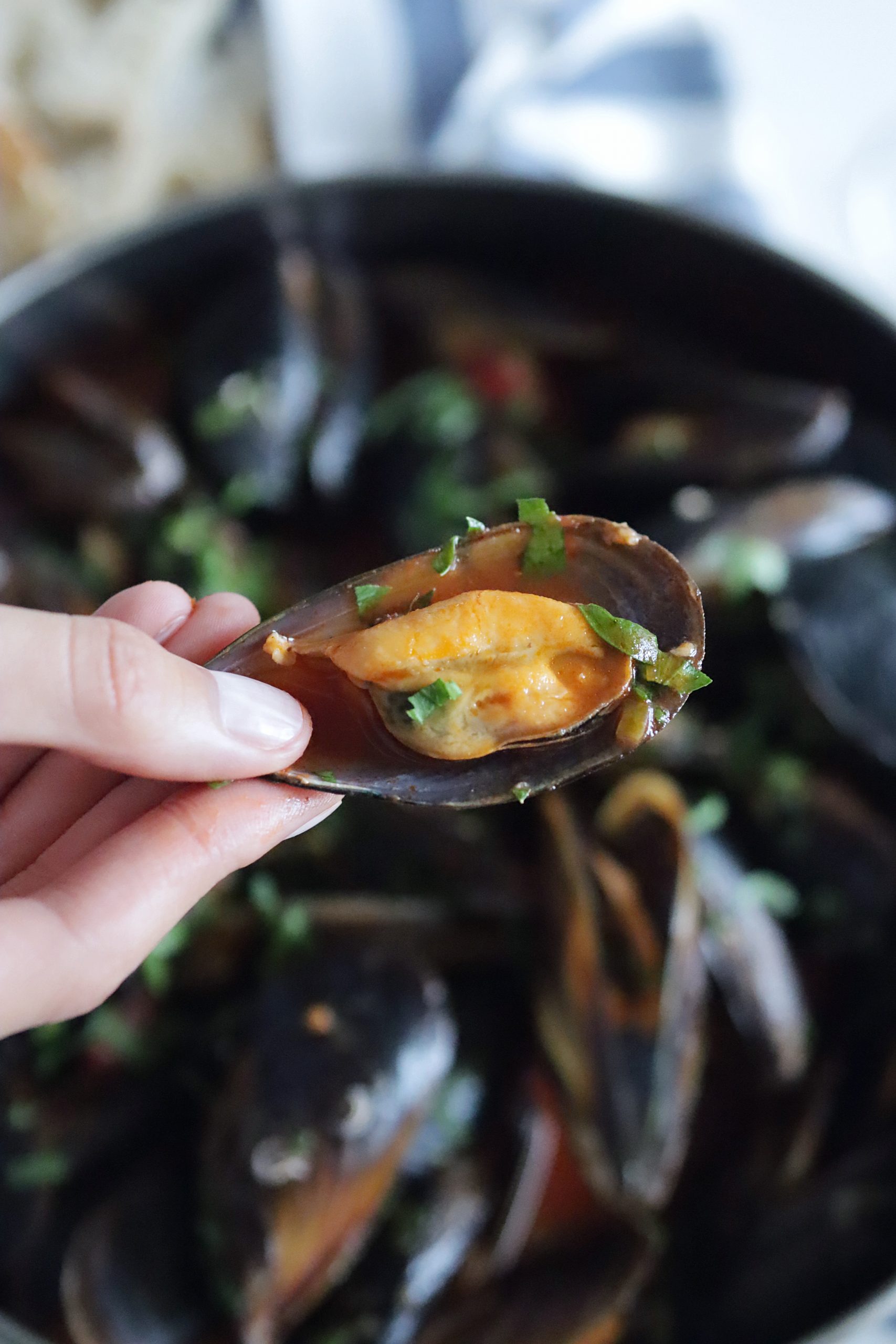 Midii in sos de vin si rosii - hayateria